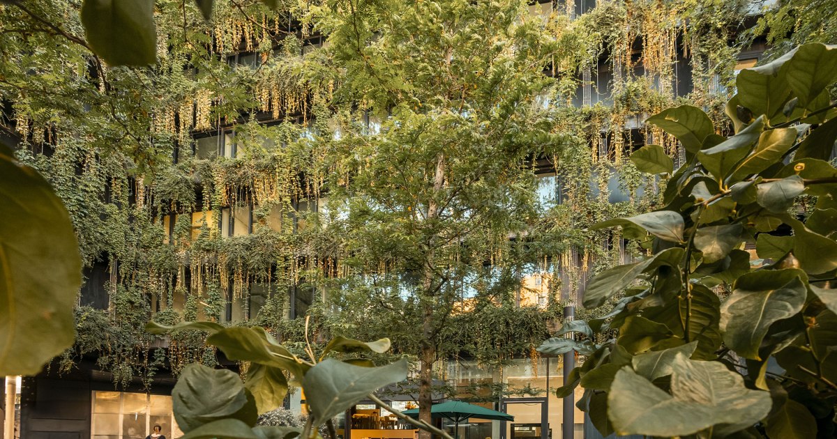 Typisch Calwer Passage! Original Calwer Straße! - Calwer Passage ...